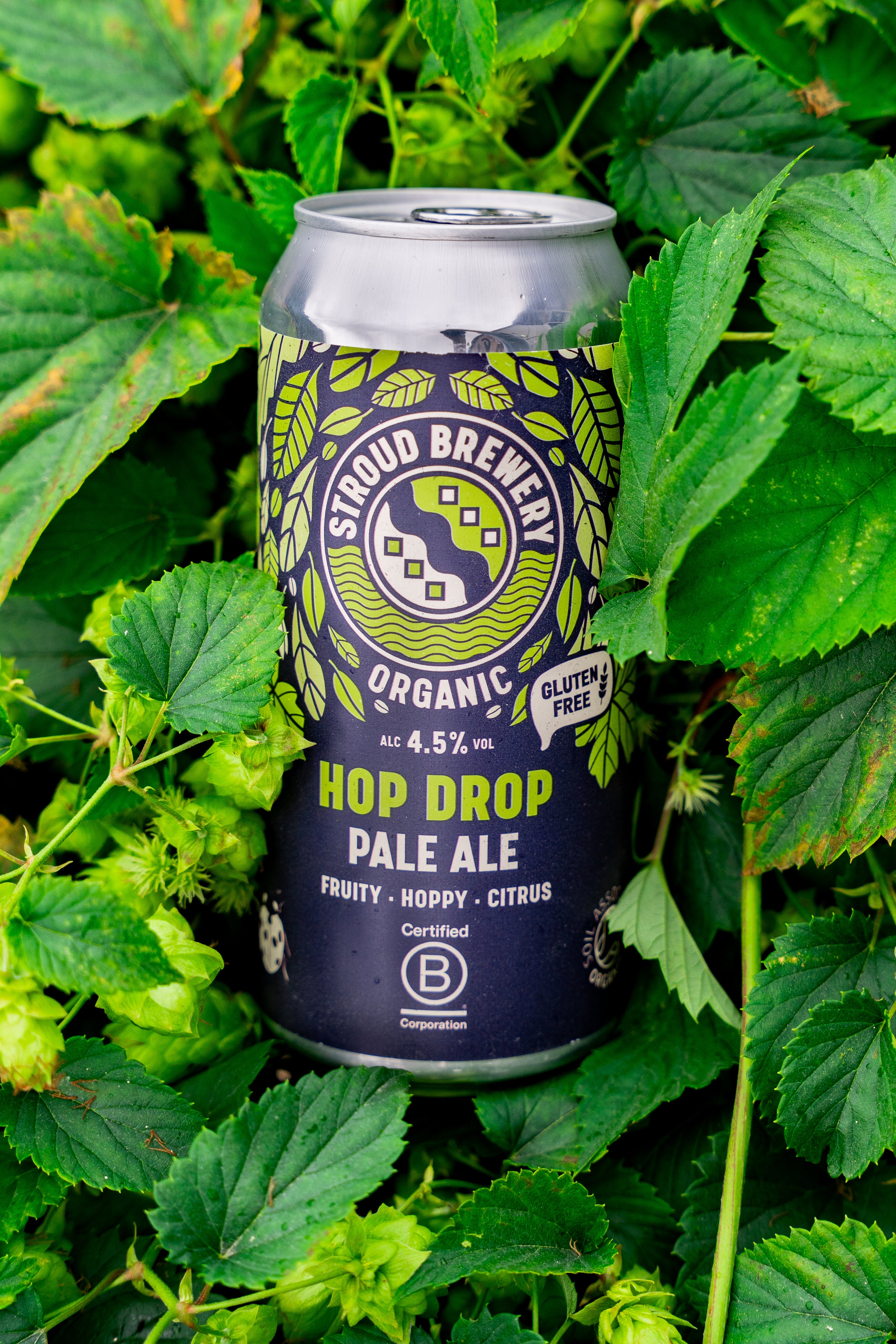 About Us | Our Story | Stroud Brewery