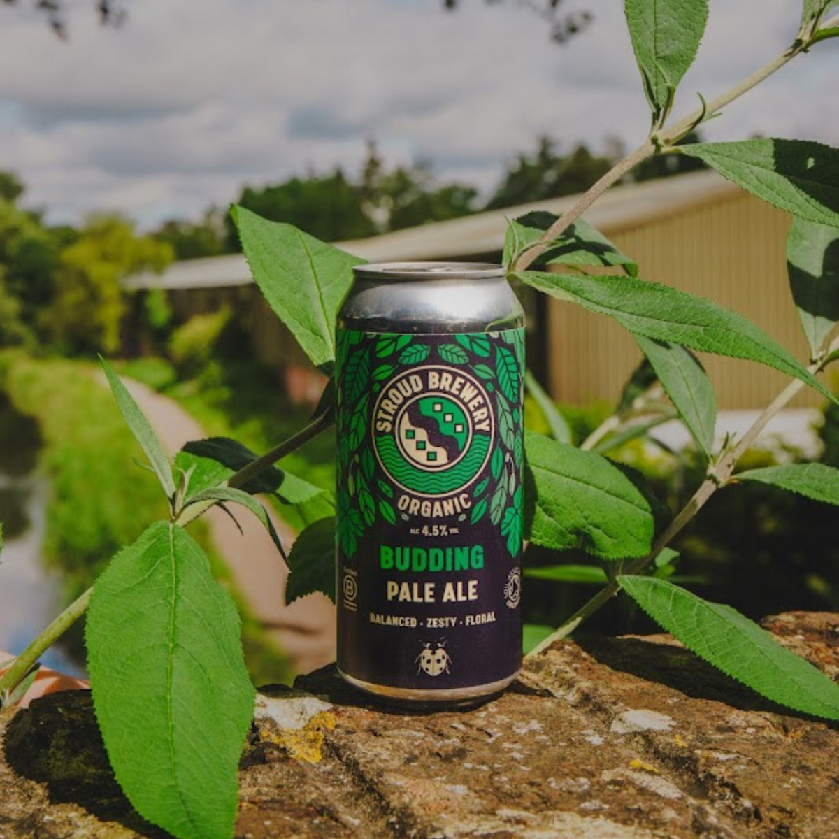 About Us | Our Story | Stroud Brewery